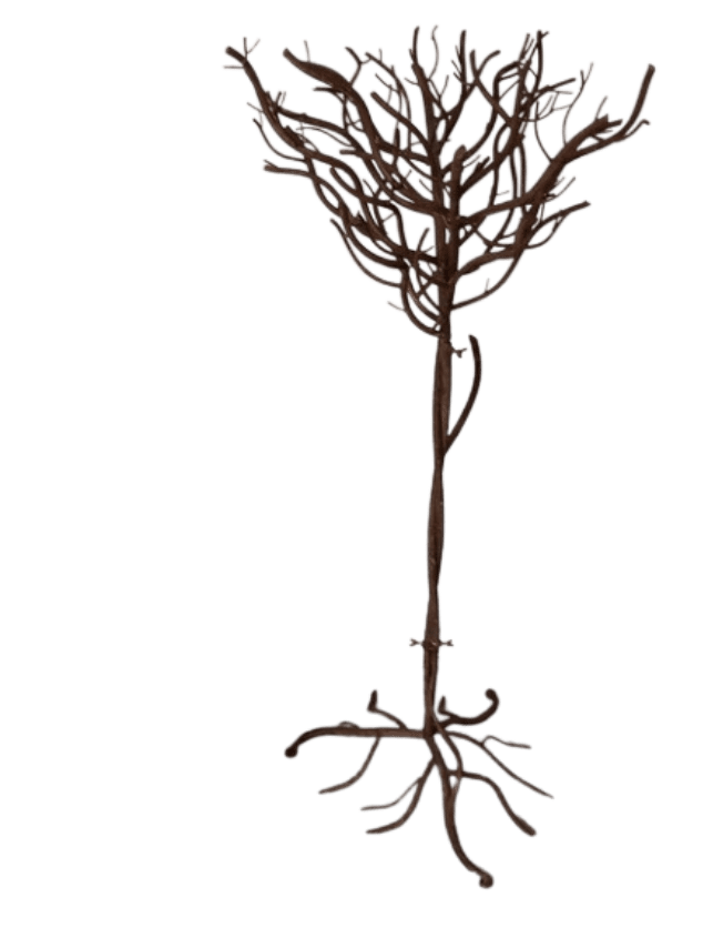 Mid Century Black Iron Tree Sculpture | ImParlour